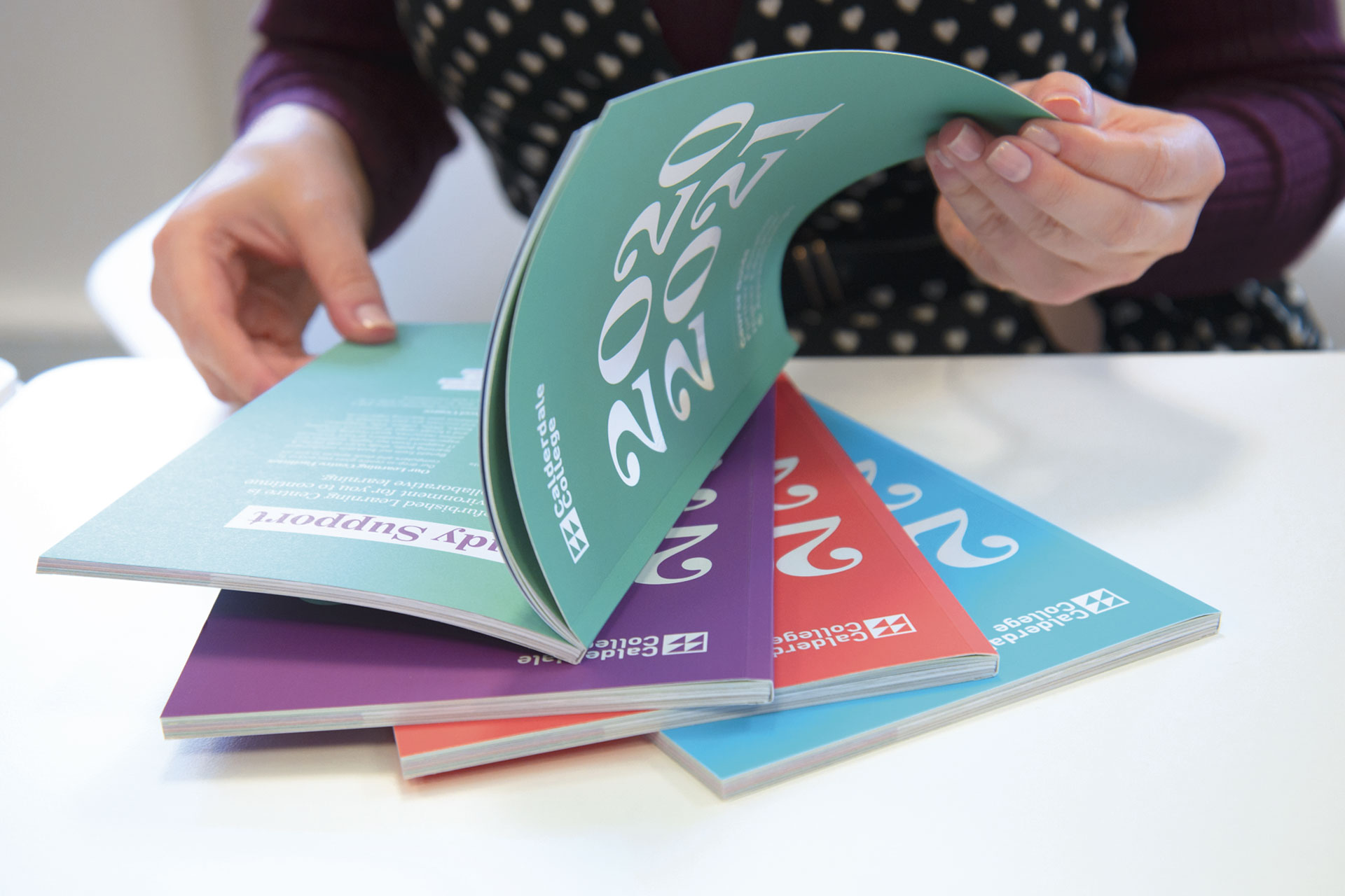 Calderdale College Course Guide - Browndog Agency