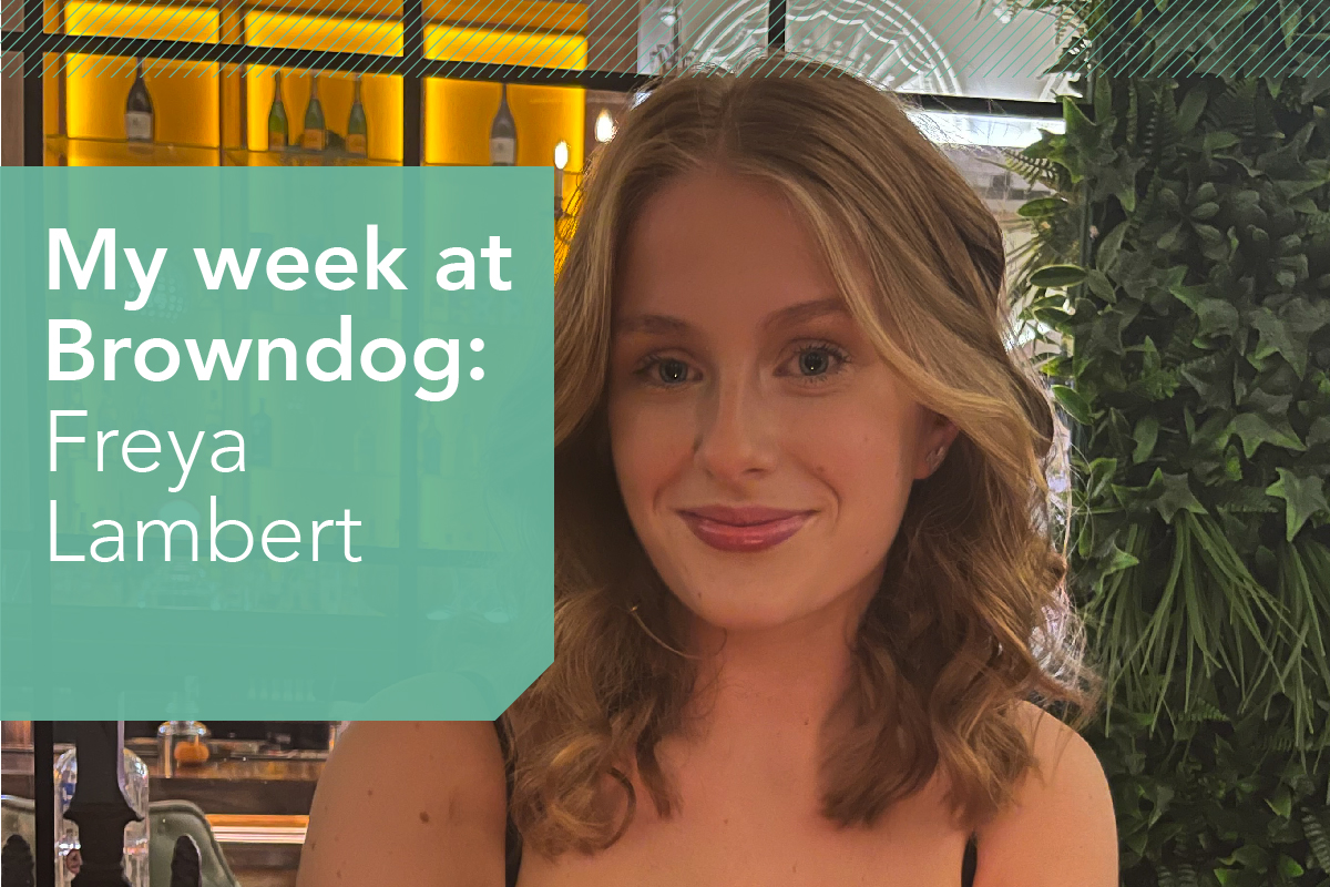 Freya Lambert: My week at Browndog - Browndog Agency