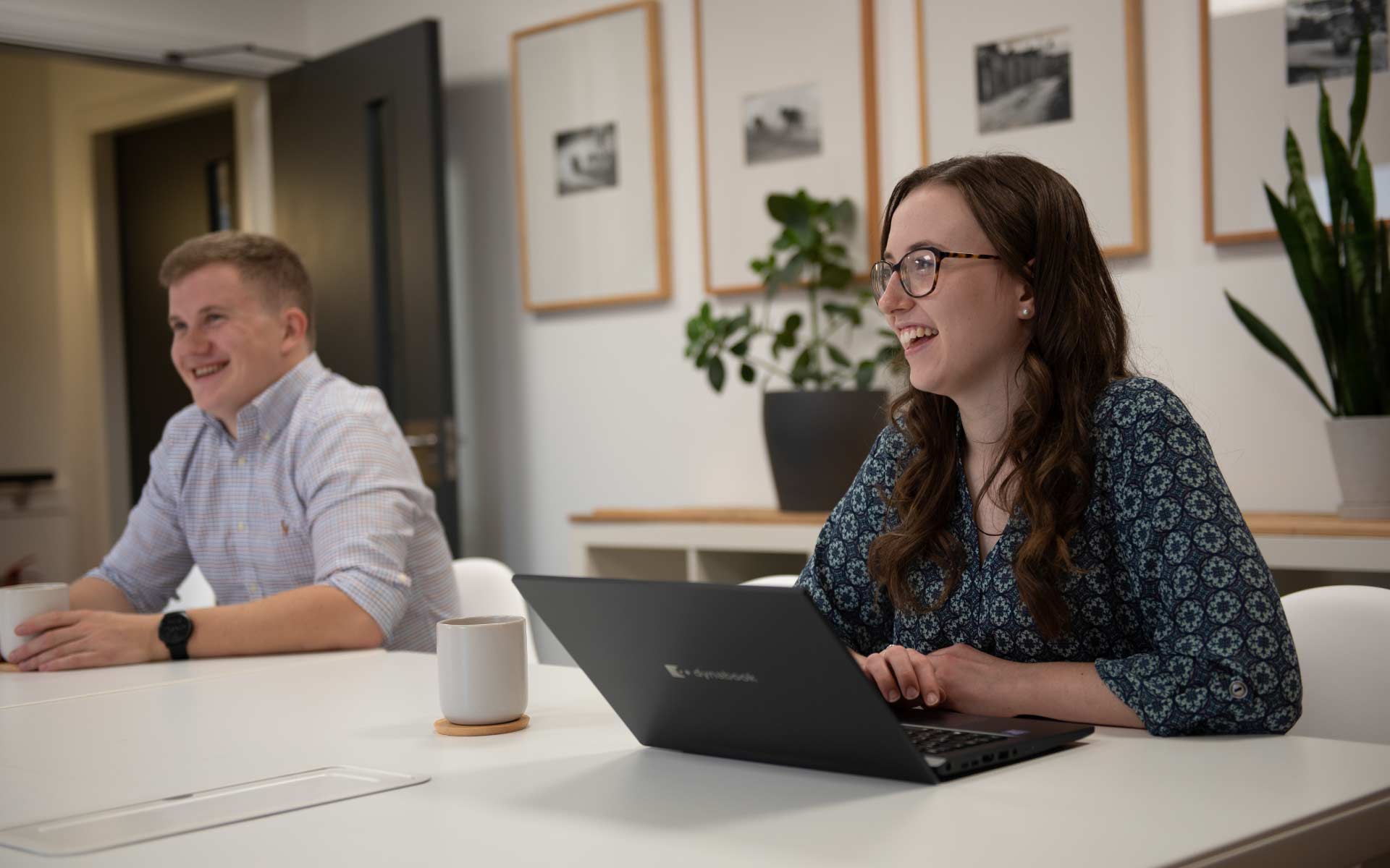 Swan Energy Ltd - Browndog Agency